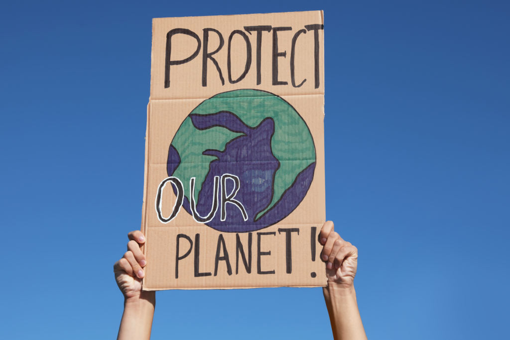 10 Charities Fighting Climate Change And Environmental Damage
