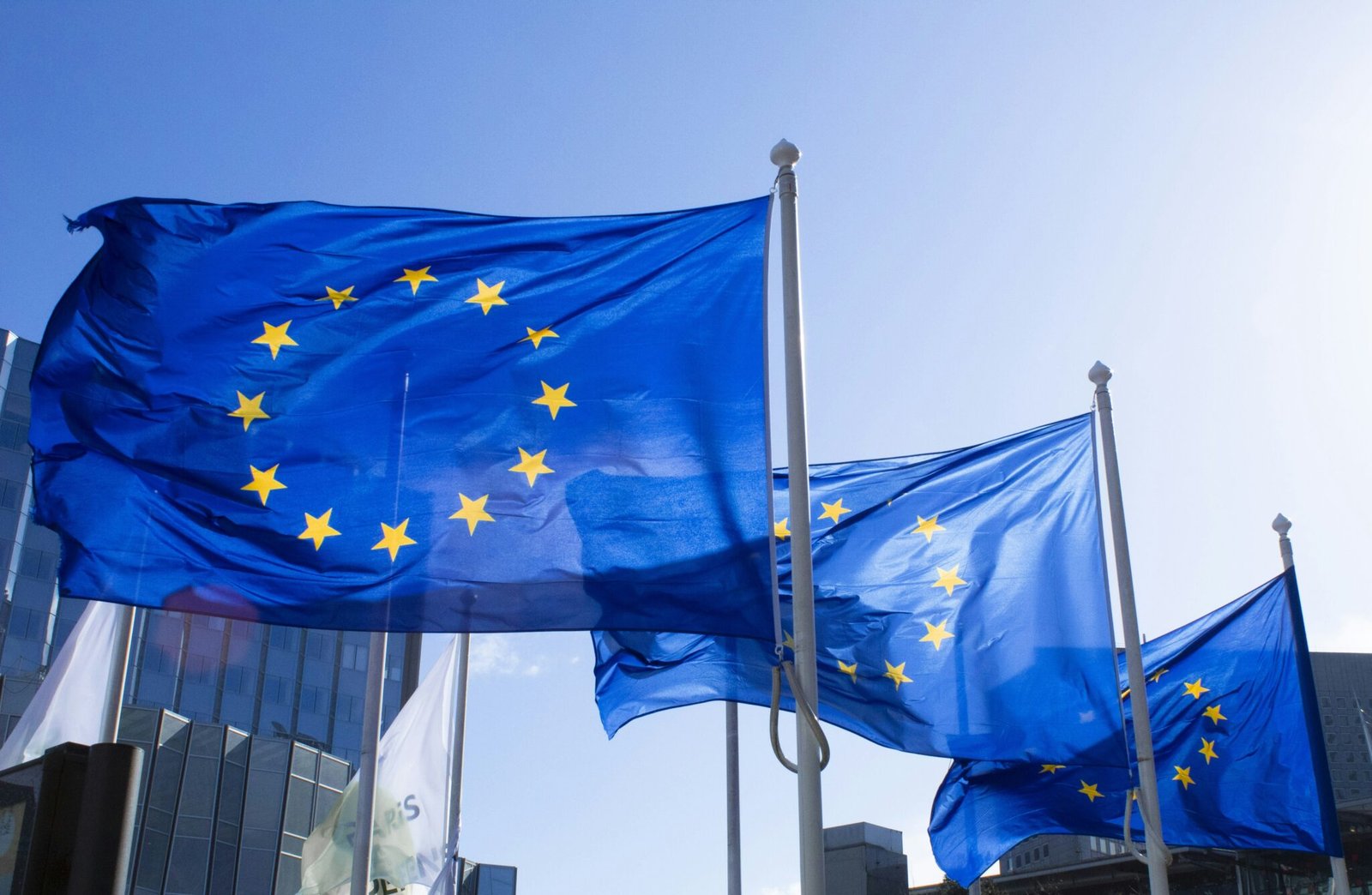 EU Delegation to Nigeria and ECOWAS Traineeship 2026 - Apply Now ...