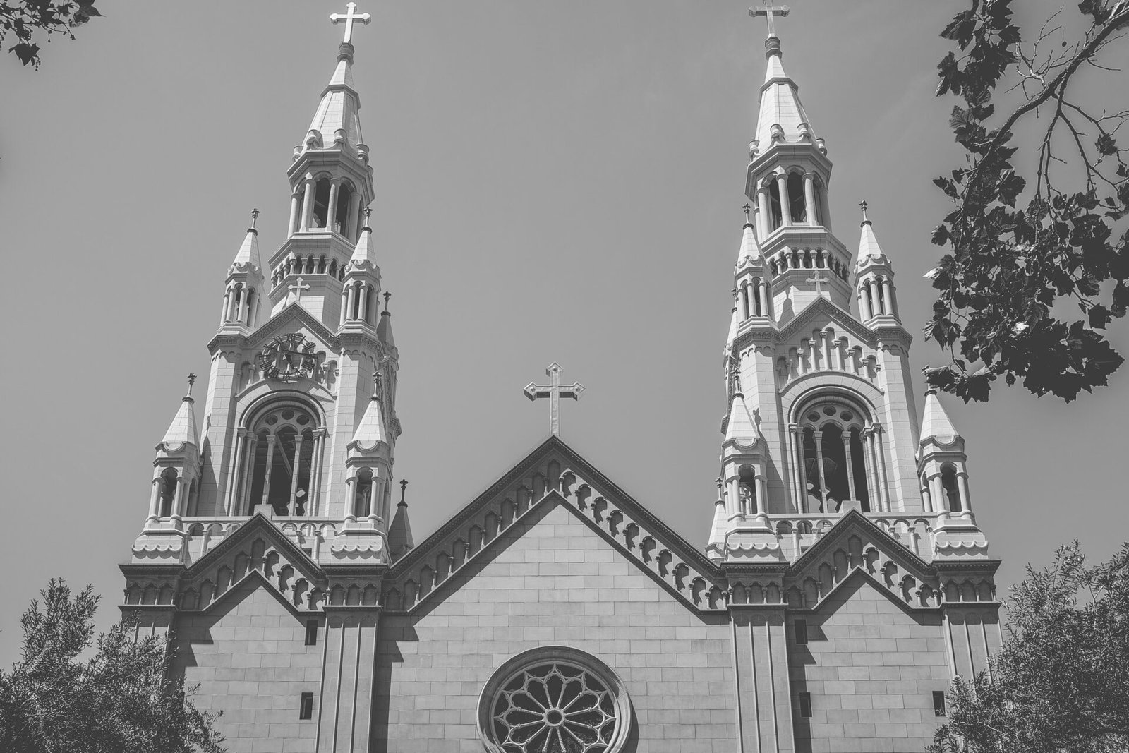 Catholic Charities kick off ‘40 Cans For Lent’ for the community ...